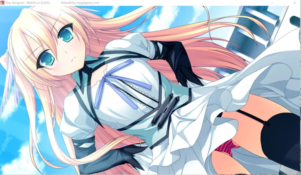 【Gal】【PC】微小地牢（tiny dungeon）[合集]-量子ACG